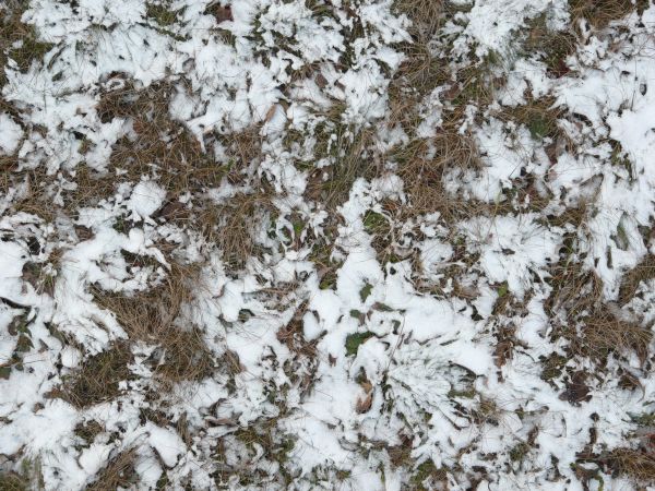 frozen ground texture 0030 - Texturelib